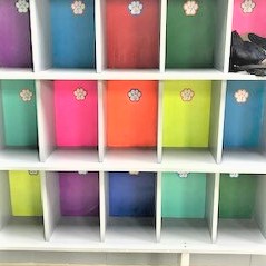 Gallery | Pet Castle Resort