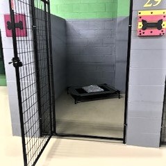 Gallery | Pet Castle Resort